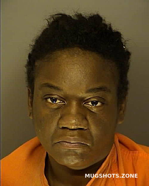 HOWELL TAMEILYA LYN 11/01/2025 - Horry County Mugshots Zone