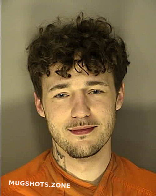 INGRAM LEVI JEFFERY ALLAN 11/01/2025 - Horry County Mugshots Zone