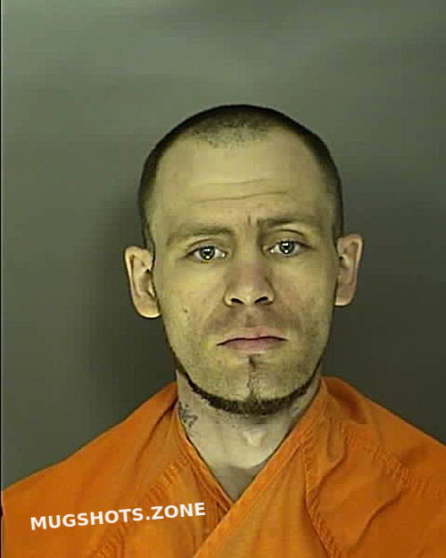 WATKINS RAYMOND LUKE 11/08/2025 - Horry County Mugshots Zone