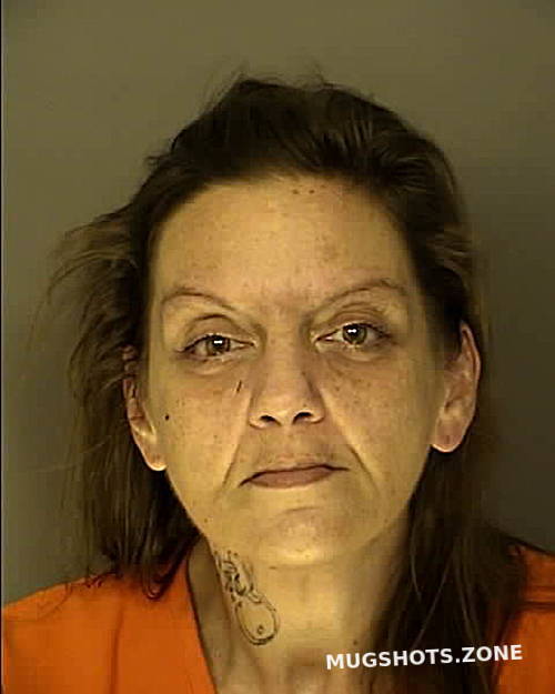 TAIMUTY RACHEL ROBB 11/20/2025 - Horry County Mugshots Zone