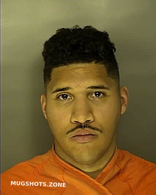 RUBANO PHILIP DANIEL 12/28/2025 - Horry County Mugshots Zone
