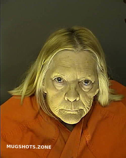 NEWSOME ALICE FAYE 12/29/2025 - Horry County Mugshots Zone