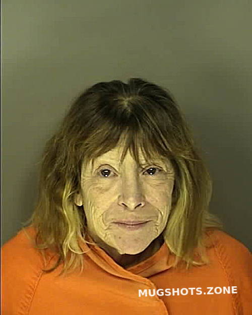 TINGLOF KAREN GEAN 01/15/2026 - Horry County Mugshots Zone