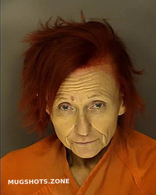 LYDIA PAMELA JOAN 02/12/2026 - Horry County Mugshots Zone
