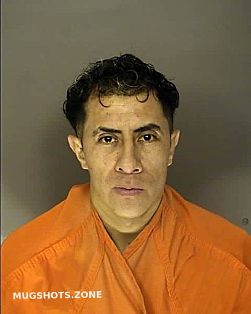 GONZALEZ ROBLERO CESAR SIMON 02/16/2026 - Horry County Mugshots Zone
