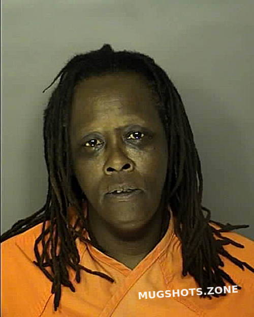 SMALLS KIM 02/17/2026 - Horry County Mugshots Zone