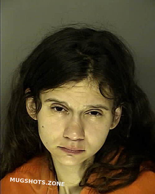 BENSEY CARISSA MARIE 02/21/2026 - Horry County Mugshots Zone