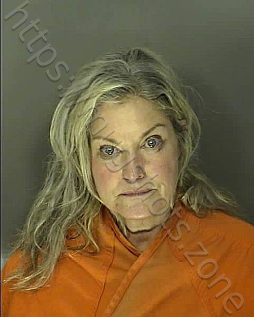 FRANCKE ANDREA DONN 03/12/2026 - Horry County Mugshots Zone