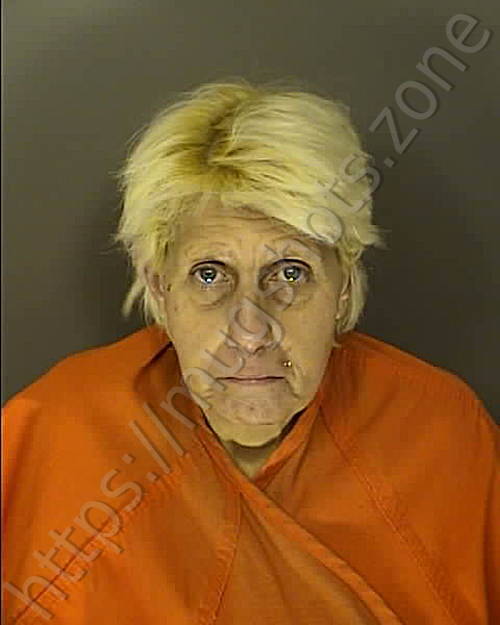 HIGGINS CARMEN ANN 03/13/2026 - Horry County Mugshots Zone