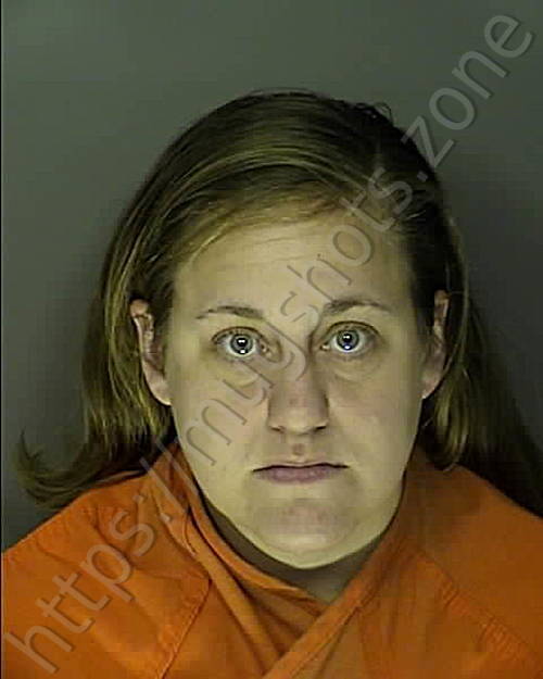 BARNHILL KACIE CAROLINE 04/03/2026 - Horry County Mugshots Zone
