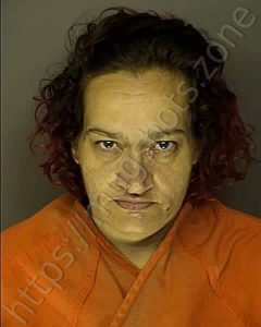 SMITH KIMBERLY ANN 05/11/2026 - Horry County Mugshots Zone