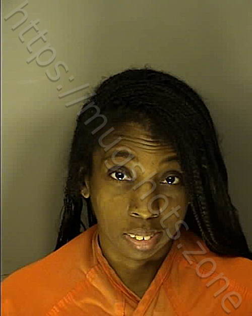 WOODIE ANTONIA SOPHIA 05/28/2026 - Horry County Mugshots Zone