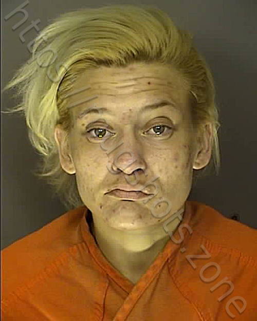 CLOCK LOGAN ELIZABETH 05/29/2026 - Horry County Mugshots Zone