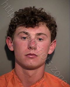 MURPHY CAMERON REED 05/30/2026 - Horry County Mugshots Zone