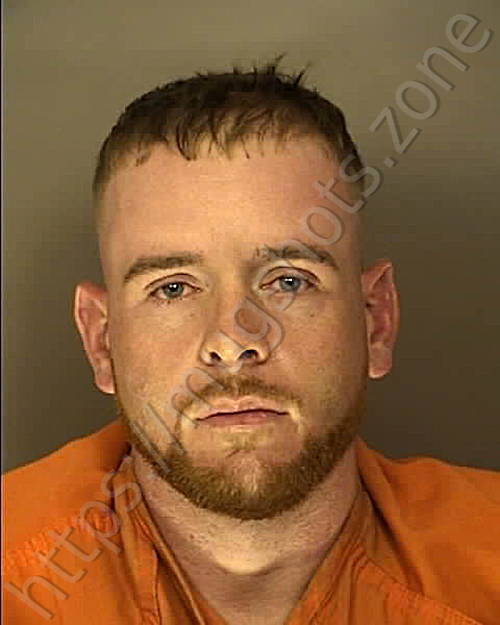 HENDRIX ADAM SHANNON 05/30/2026 - Horry County Mugshots Zone