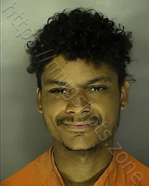 WOMACK ELIJAH DAVID 05/31/2026 - Horry County Mugshots Zone