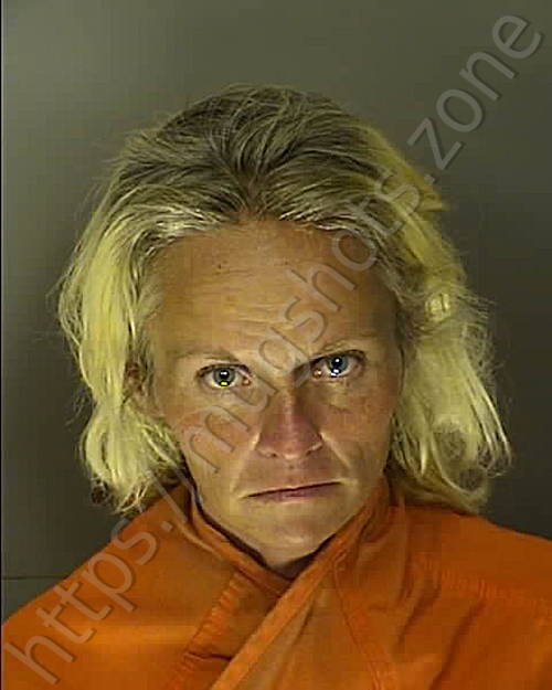 BRANNON TAMMY MARIE 05/31/2026 - Horry County Mugshots Zone