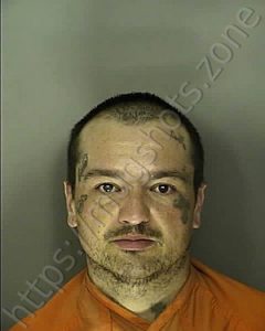 LARSON JOSHUA MATTHEW 05/31/2026 - Horry County Mugshots Zone