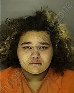 BERRYMAN NADIYA SHARDE 05/31/2026 - Horry County Mugshots Zone