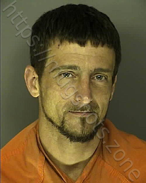 WADDLE JOSHUA DANIEL 06/02/2026 - Horry County Mugshots Zone