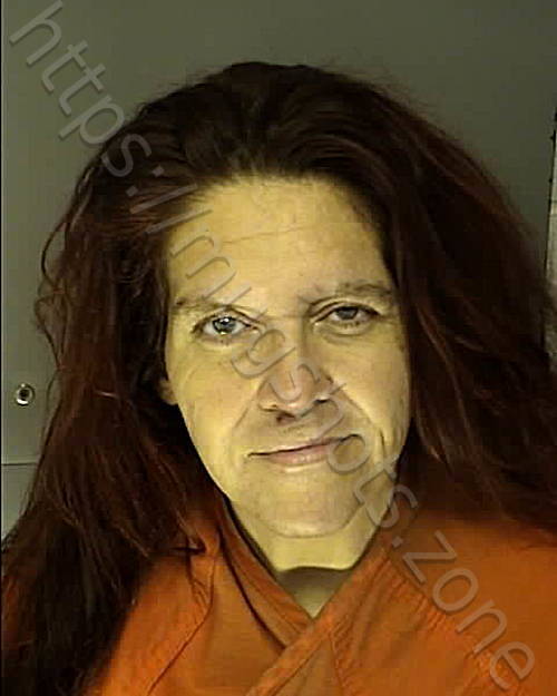 HURSEY KRISTY ANN 06/02/2026 - Horry County Mugshots Zone