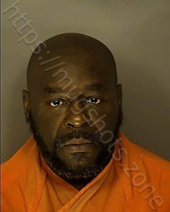 NELSON OLUFEMI CLARAMIDELE 06/06/2026 - Horry County Mugshots Zone
