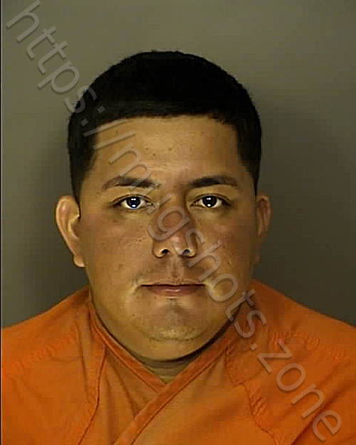 MEJIA MARTINEZ WILFRIDO ARIEL 06/09/2026 - Horry County Mugshots Zone