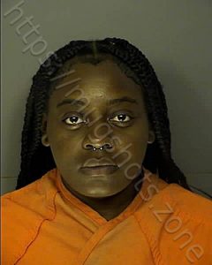 BRACEY TA'NAJAH NYKEE 06/12/2026 - Horry County Mugshots Zone
