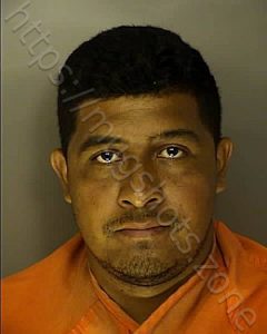 ROMAN SANTOS PEDRO PABLO 06/12/2026 - Horry County Mugshots Zone