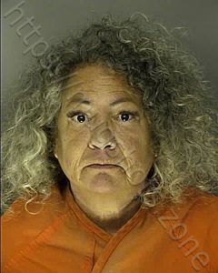 HIGGINS CAREN DENISE 06/13/2026 - Horry County Mugshots Zone