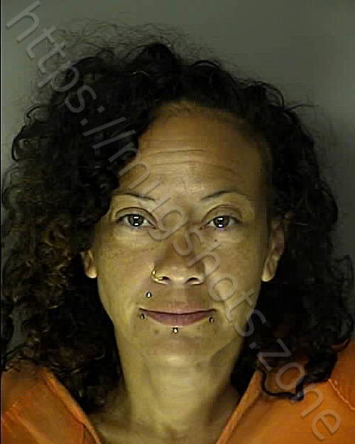 CHESLEY KRISTLE ANN 06/14/2026 - Horry County Mugshots Zone