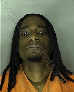 TELFORD GREGORY NIGEL 06/16/2026 - Horry County Mugshots Zone