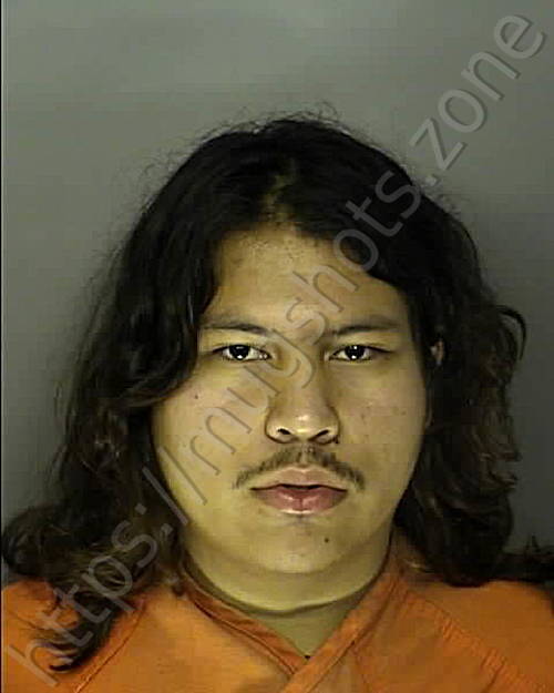 LENDOS ANTUNEZ HEBER FERNANDO 06/17/2026 - Horry County Mugshots Zone