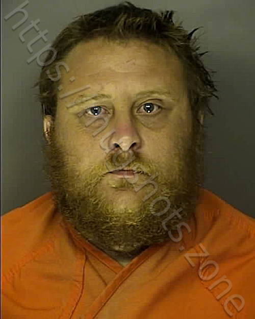HEMM TYLER BRYANT 06/17/2026 - Horry County Mugshots Zone