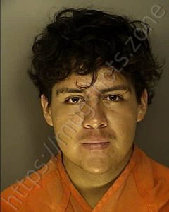 DEL MURO DAVILA ROBERTO 06/19/2026 - Horry County Mugshots Zone