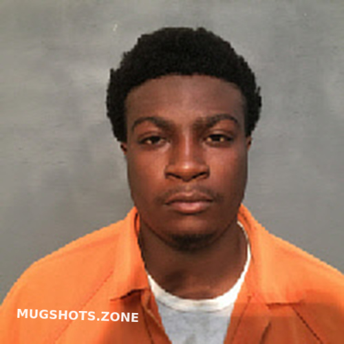 WILLIAMS DAYSHON BEAFOUS 02/10/2021 - Houston County Mugshots Zone