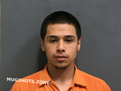 LOZA PABLO ANTONIO 04/03/2021 - Houston County Mugshots Zone