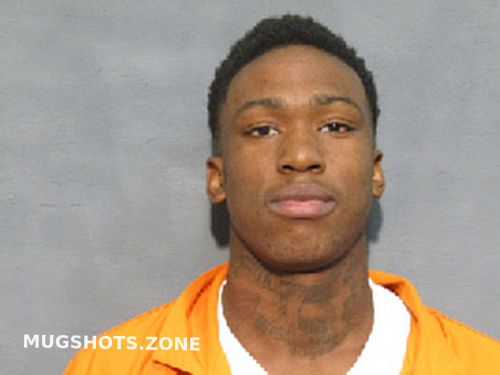 ALLEN JAMES TERRANCE 03/04/2022 - Houston County Mugshots Zone