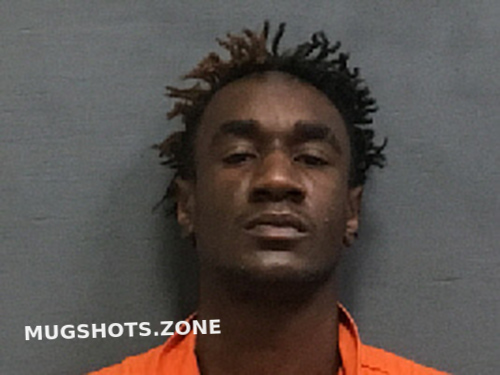 MIXON SAMUEL ALEXANDER 11/02/2022 - Houston County Mugshots Zone