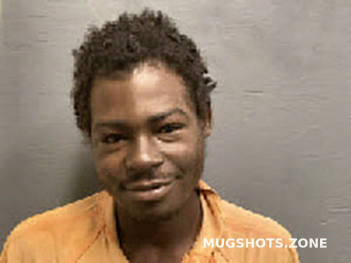 WILLIAMS GEORGE LESTER 11/13/2023 - Houston County Mugshots Zone