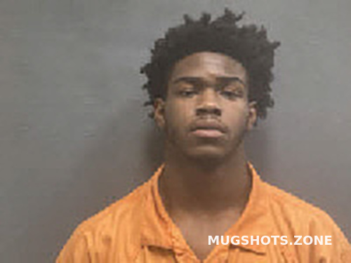 SALTER KORION MICHAEL 07/03/2024 - Houston County Mugshots Zone