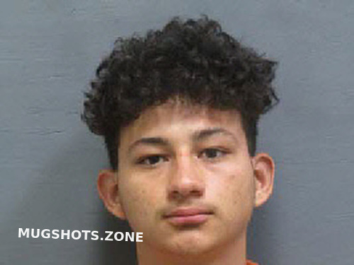 ALVAREZ DIMAS ARIEL PADILLA 07/12/2024 - Houston County Mugshots Zone