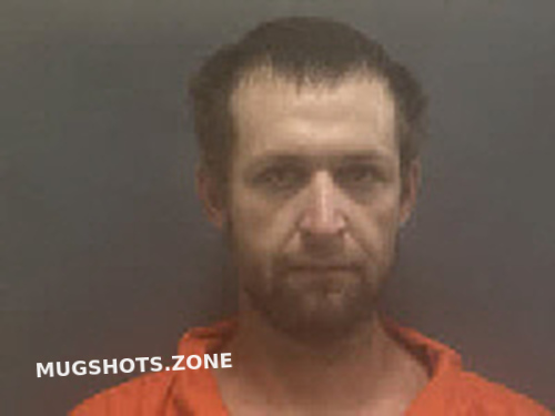 RILEY WILLIAM MICHAEL 08/02/2024 - Houston County Mugshots Zone