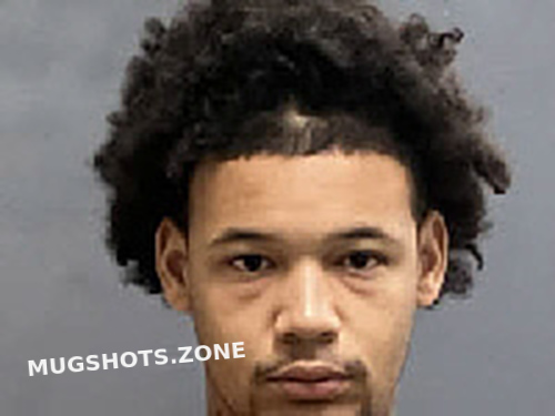 RIGGS JERMAINE LAMONT 08/15/2024 - Houston County Mugshots Zone