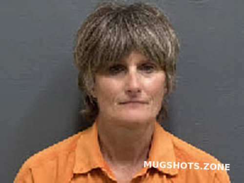 BRIDGES SHANNON SHELLEY 08/27/2024 - Houston County Mugshots Zone