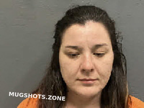 ADKINSON JAMIE DANIELLE 10/04/2024 - Houston County Mugshots Zone