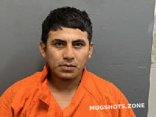 GONZALEZ LOPEZ CARLOS SAU 10/28/2024 - Houston County Mugshots Zone