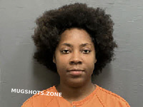 JOHNSON MAKAYLA SAMIYA 11/20/2024 - Houston County Mugshots Zone