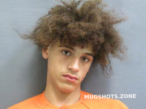 THOMAS ANDRE JAMES 12/28/2024 - Houston County Mugshots Zone
