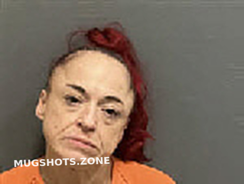 HENDERSON MISTY DAWN 01/03/2025 - Houston County Mugshots Zone